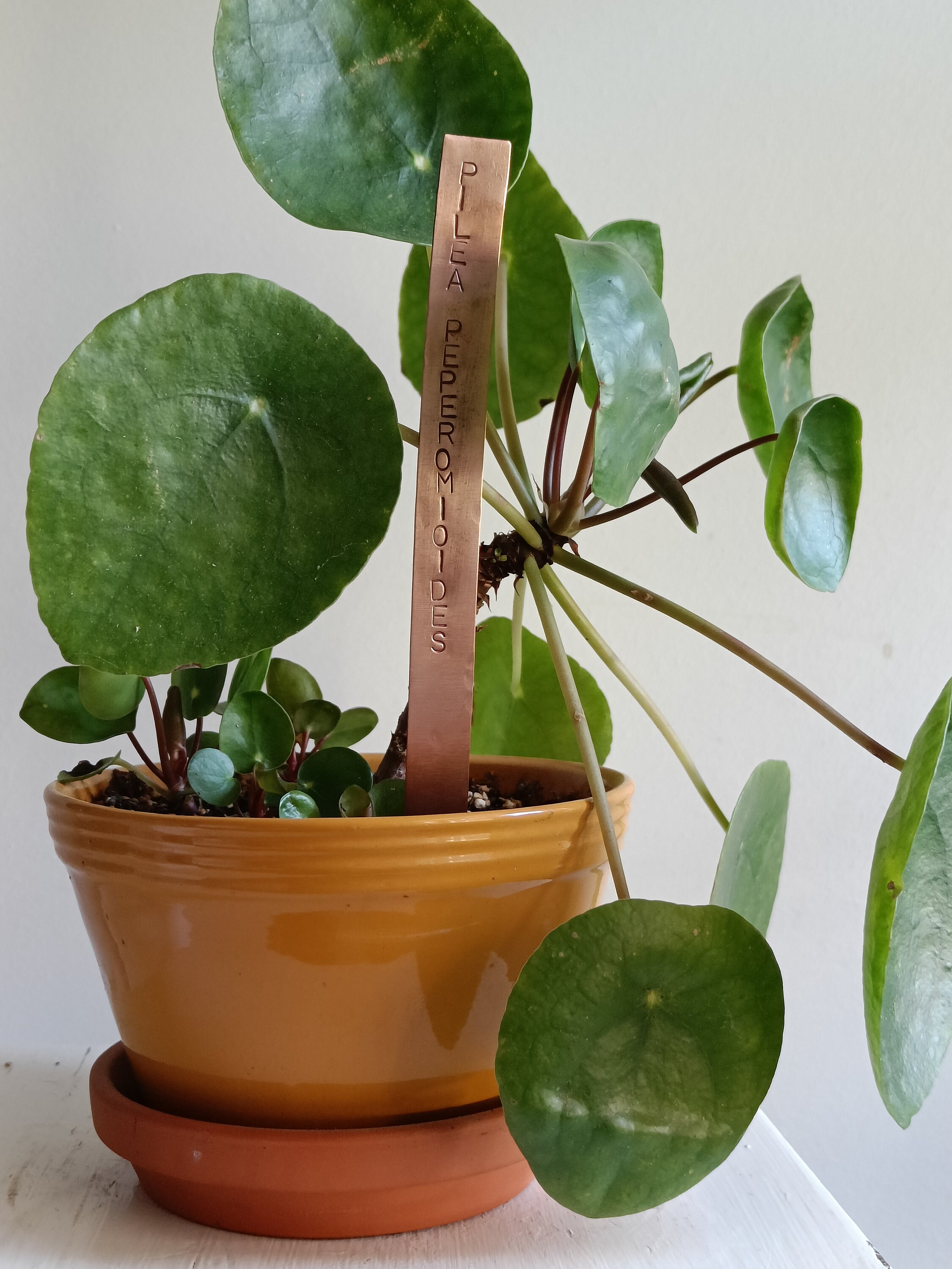 Handstamped Copper Label, Tag or Sign With a Vintage Flare - Etsy