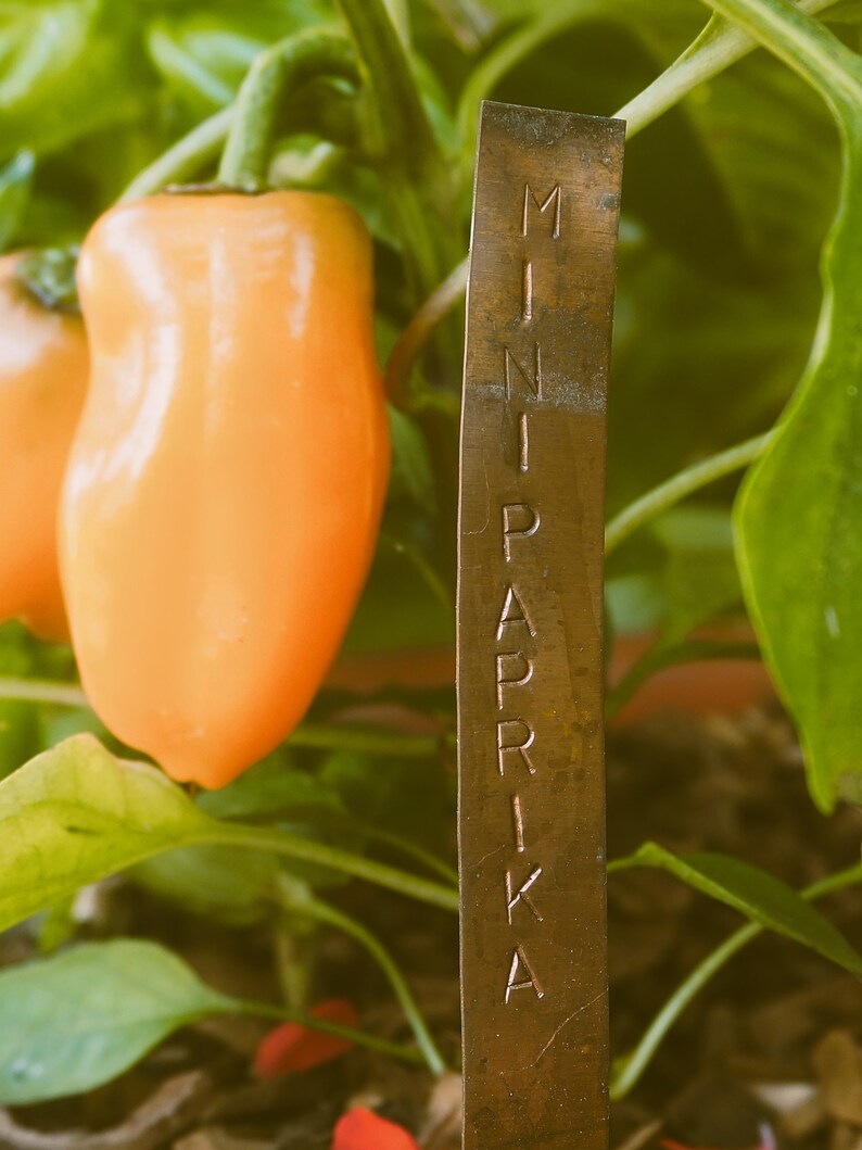 Handstamped Copper Label Tag or Sign With a Vintage Flare - Etsy