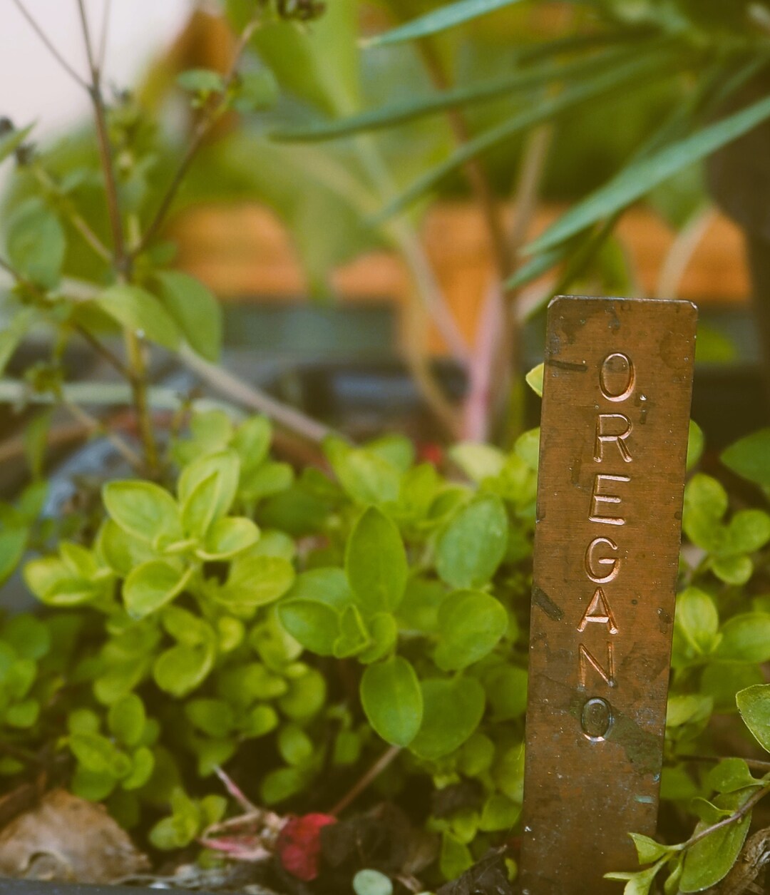 Handstamped Copper Label, Tag or Sign With a Vintage Flare - Etsy