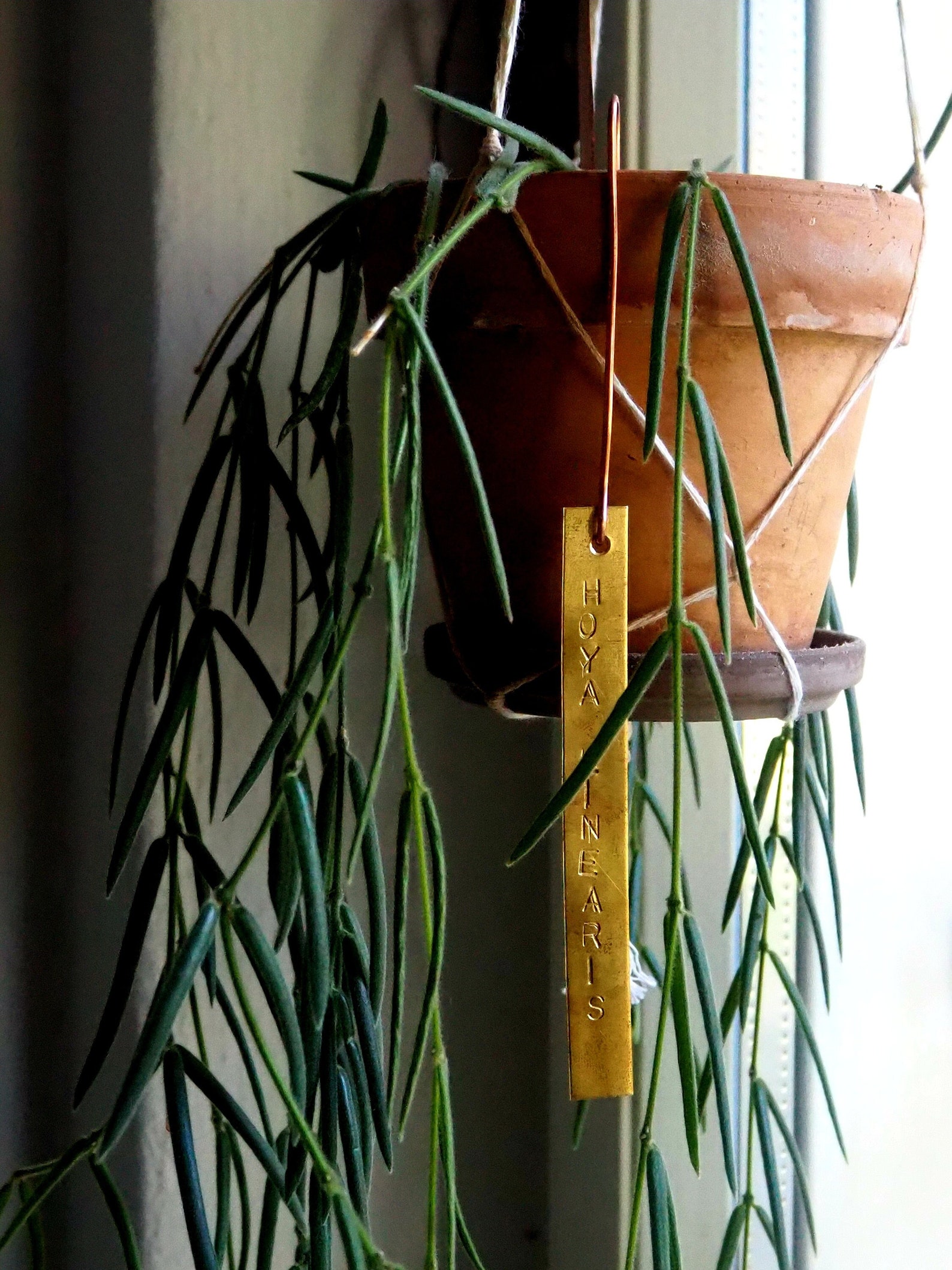 Handstamped Hanging Brass Lable, Tag or Sign for Your Plants ...