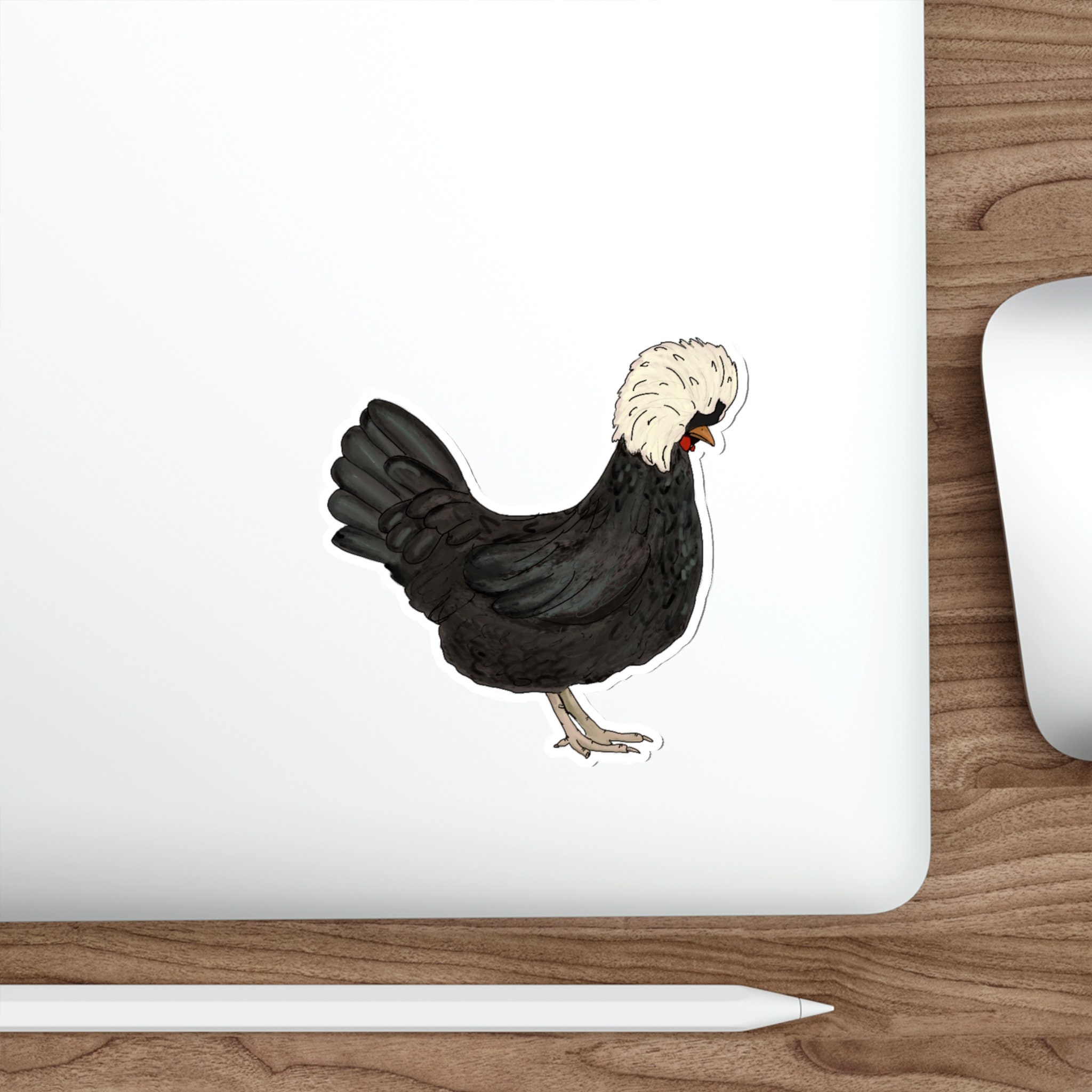 Polish Crested Chicken Vinyl Sticker - Etsy