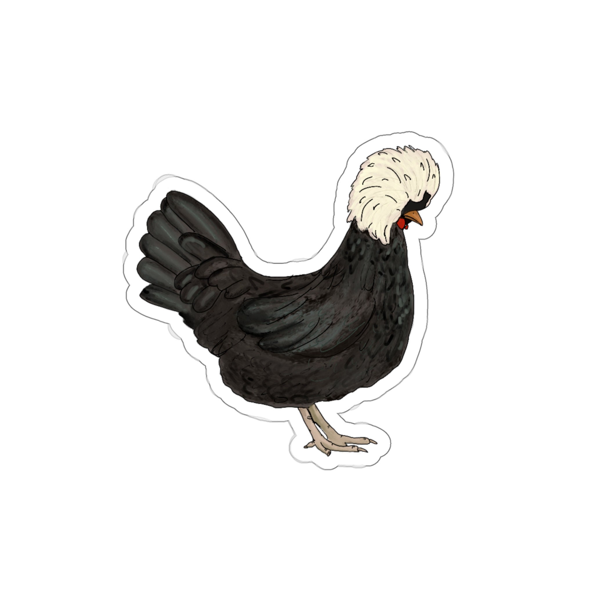 Polish Crested Chicken Vinyl Sticker - Etsy