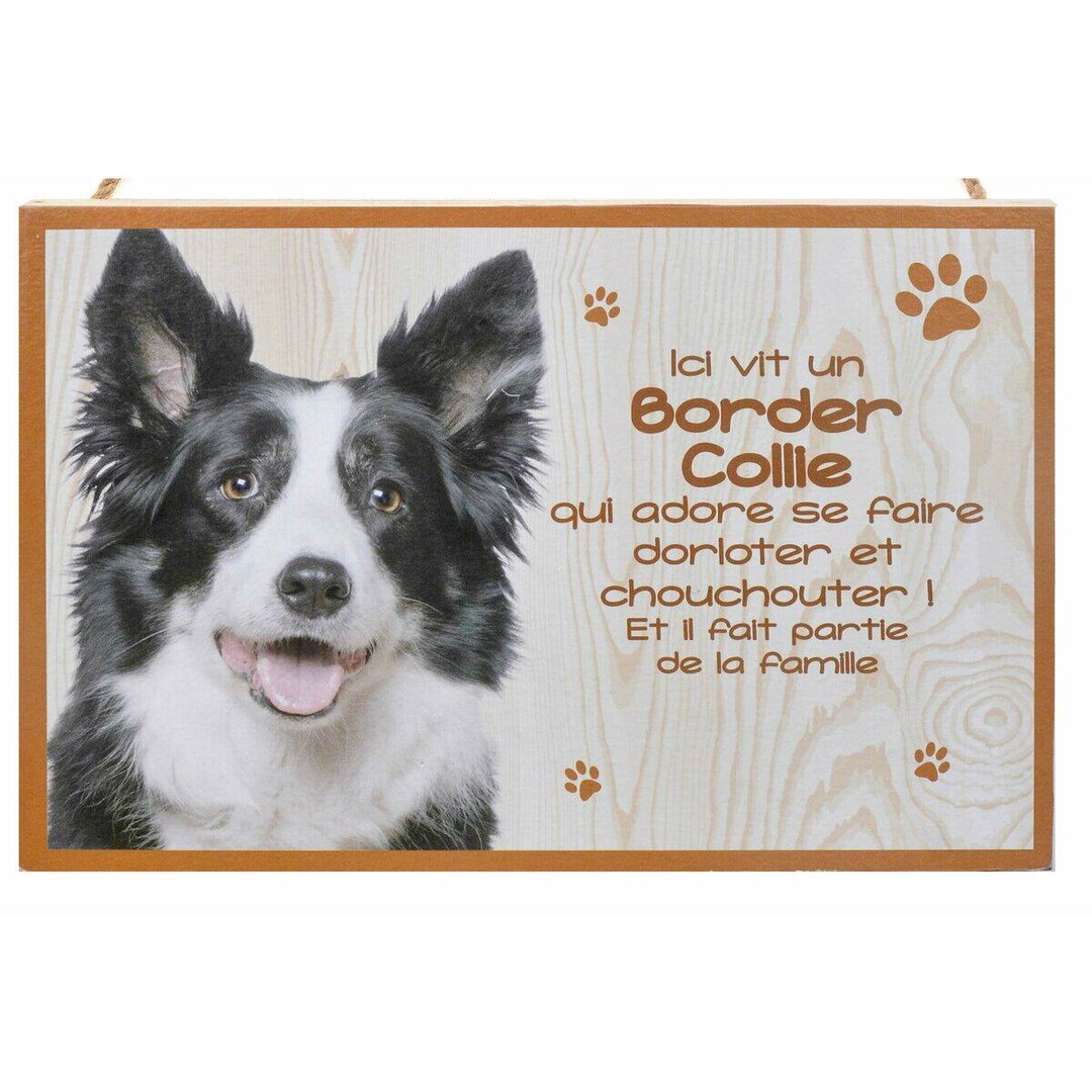 Border Collie Photo Wooden Entrance Sign | Decoration Collection for ...