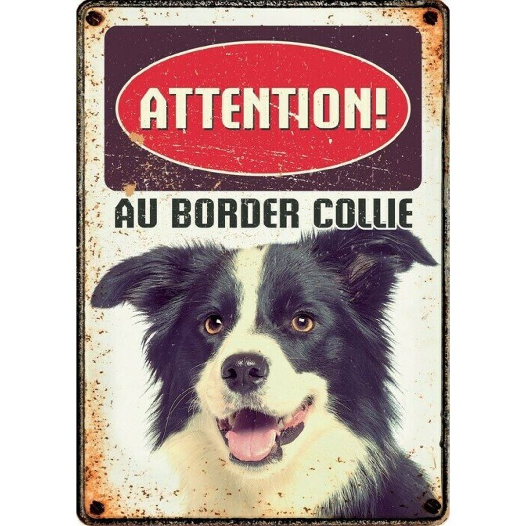 House Entrance Sign Attention Border Collie Metal Decoration Dog ...