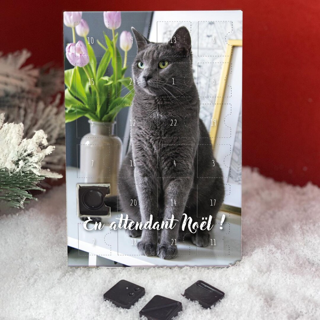 Advent Calendar With a Personalized Chartreux Gray Cat With Your ...