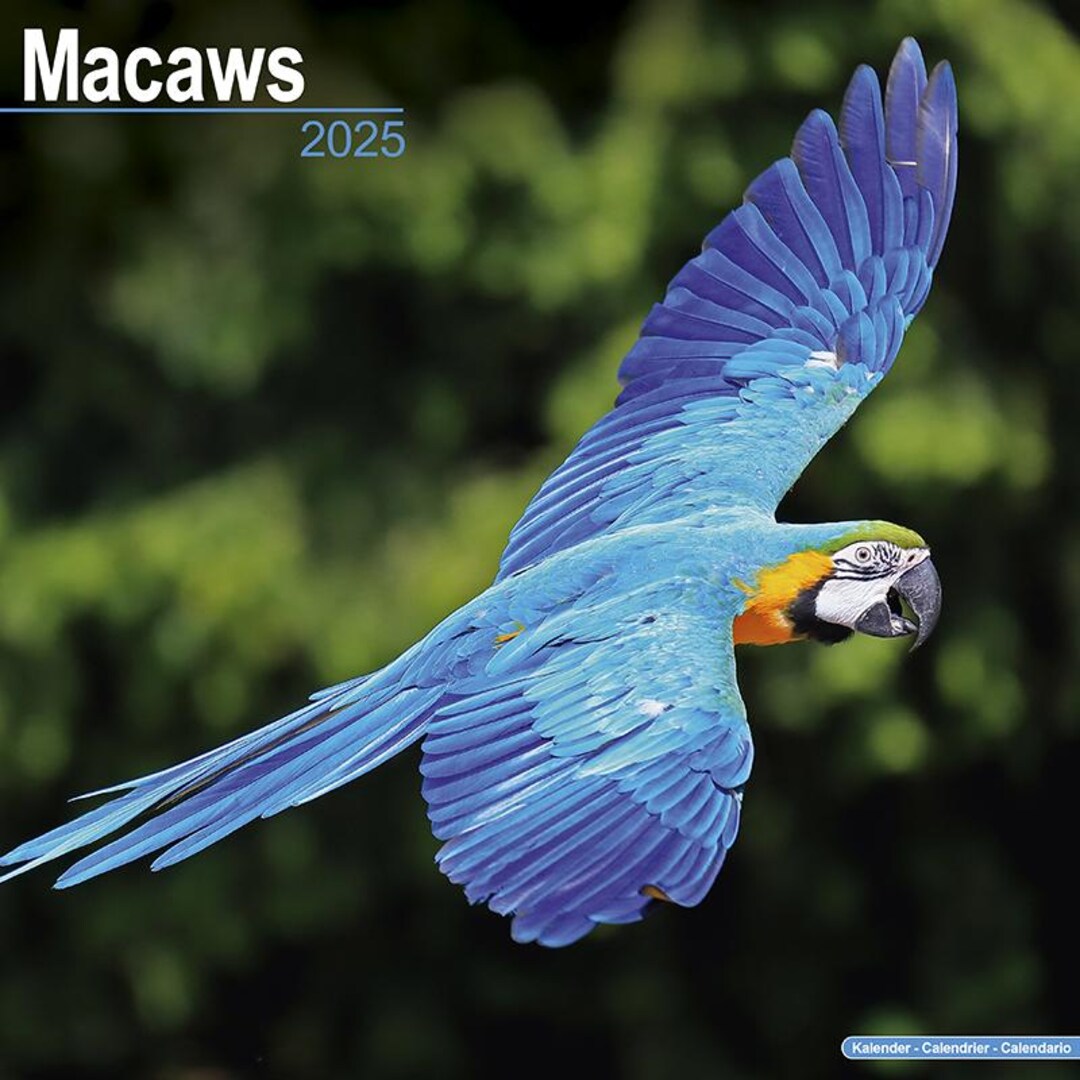 2025 Parrot Ara Macaw Calendar 2025 Calendar Generous Format Maxi ...