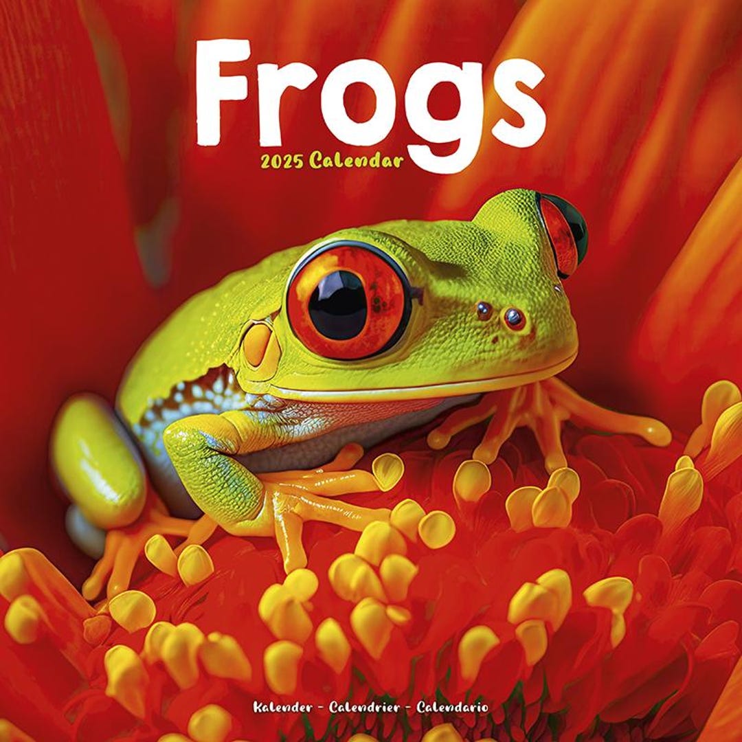 2025 Frog Calendar 2025 Calendar Generous Format Maxi Format Dog ...