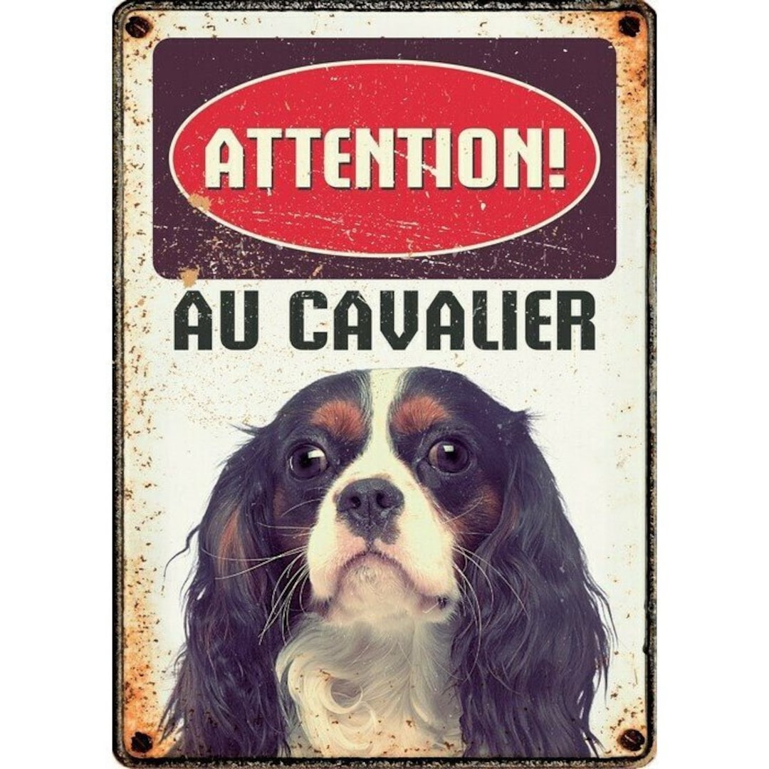 House Entrance Plaque Caution Cavalier King Charles Metal Decoration ...