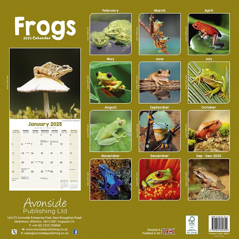 2025 Frog Calendar 2025 Calendar Generous Format Maxi Format Dog ...