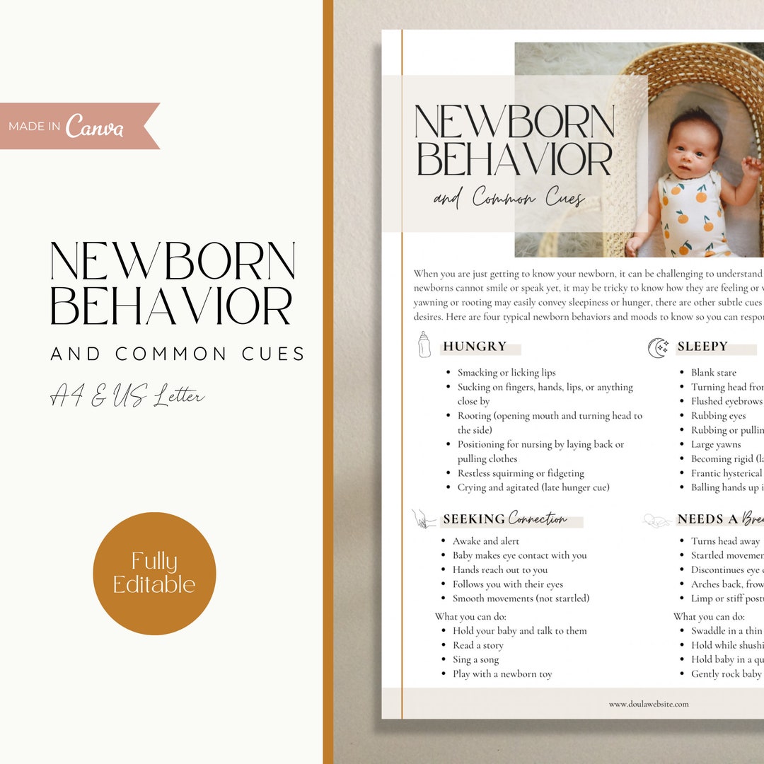 Newborn Behavior & Cues Handout: Doula Baby Care Guide (canva Editable ...