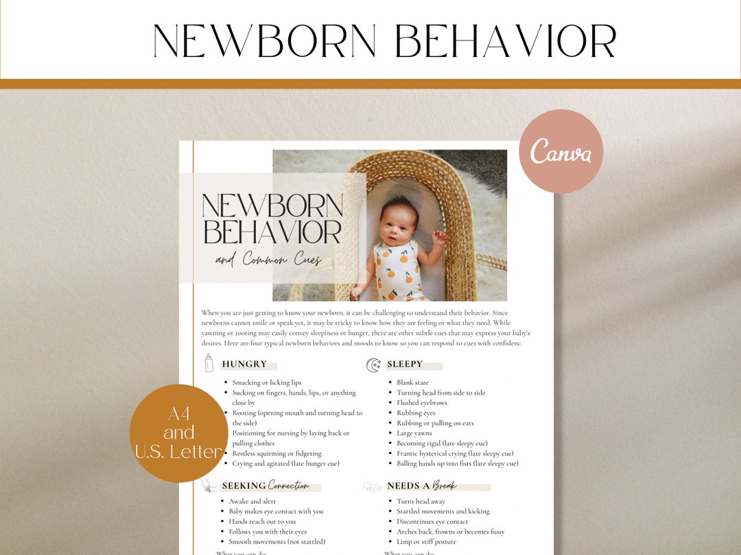 Newborn Behavior and Common Cues, Baby Cues Handout, Newborn Mood, Baby ...