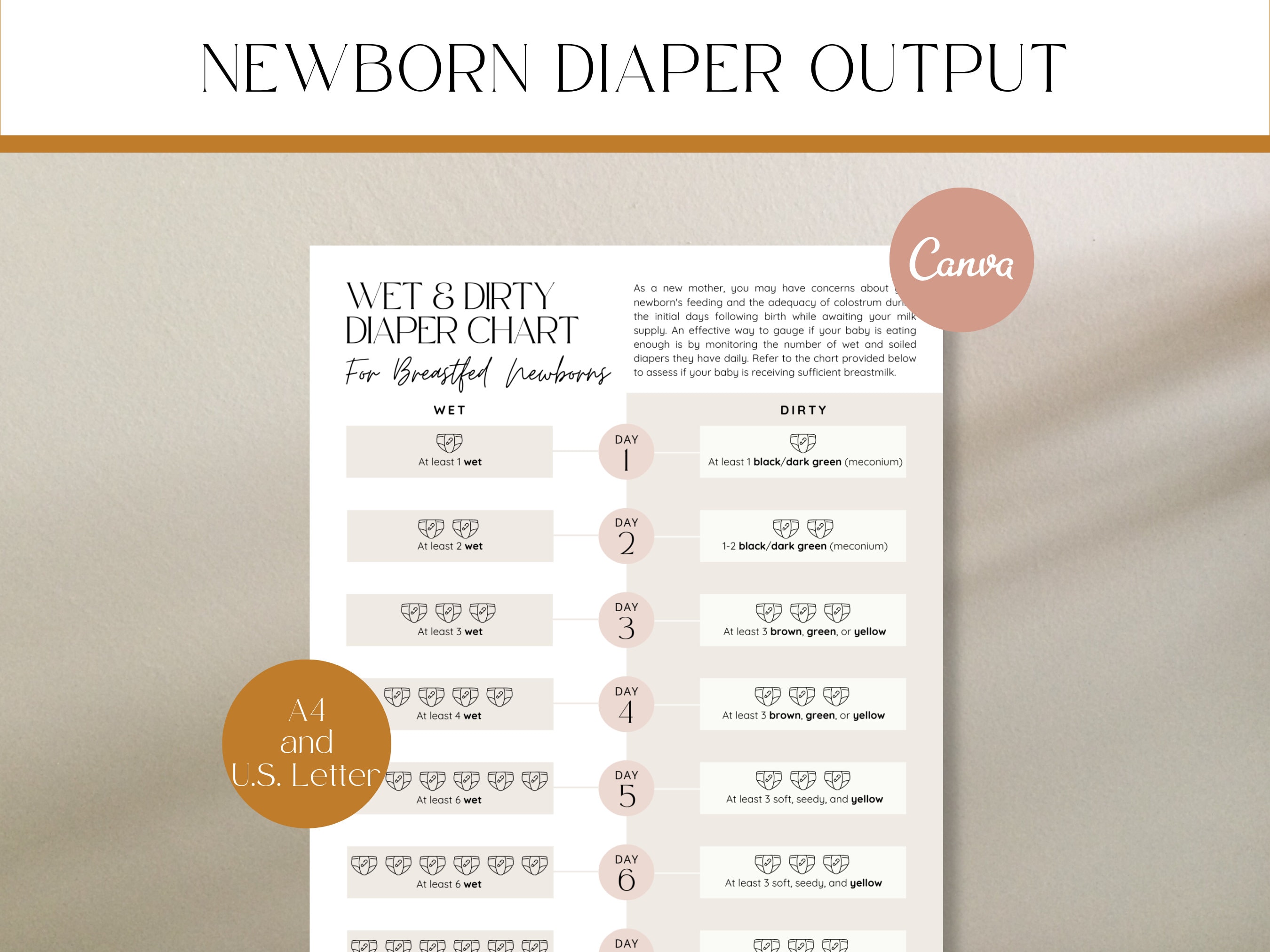 Newborn Wet and Dirty Diaper Chart Newborn Diaper Output Newborn Care Baby Care Handout Doula Handout Postpartum Doula Etsy