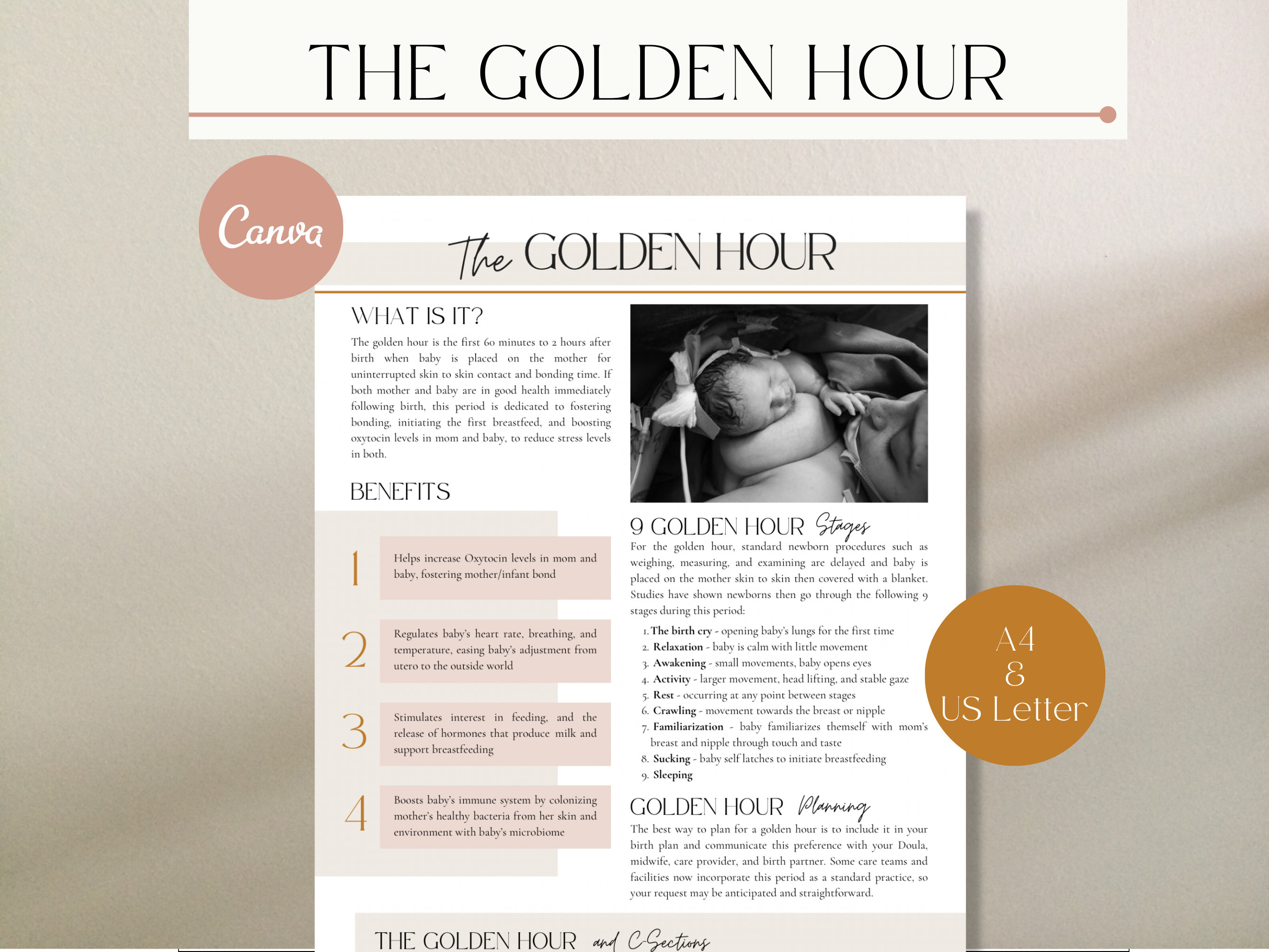 Golden Hour Handout, Skin to Skin Handout, Golden Hour Labor, Birth ...