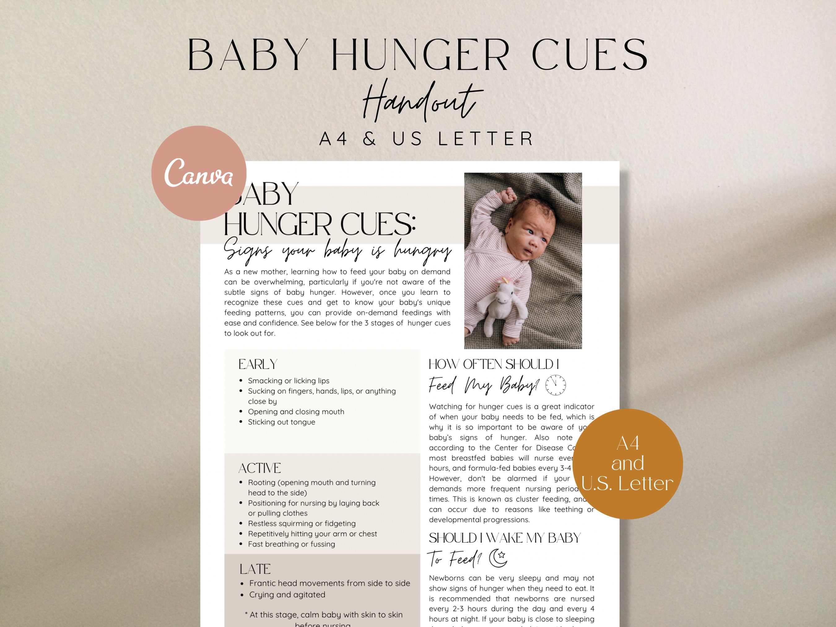 Baby Hunger Cues Handout, Newborn Hunger Cues, Newborn Education, Birth ...