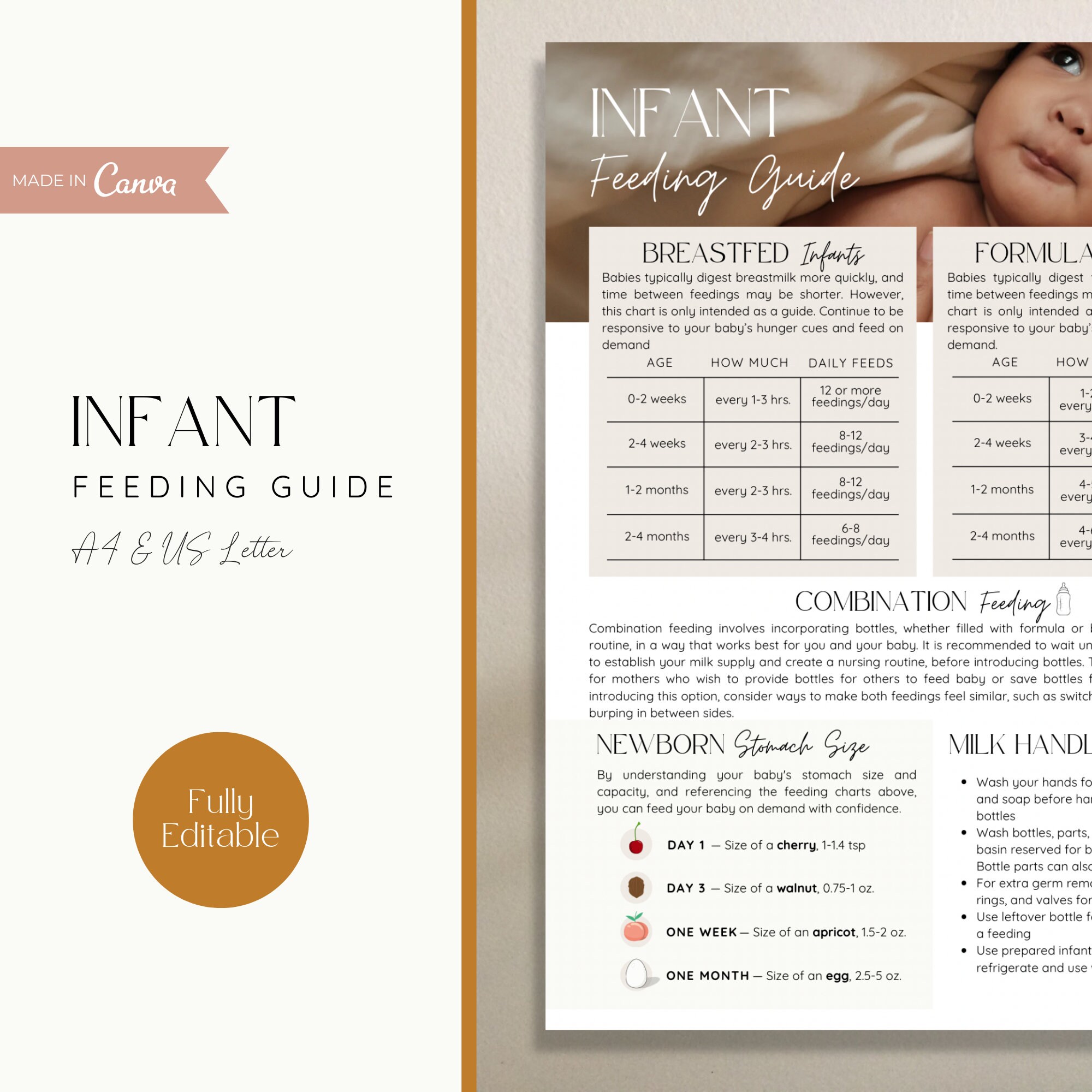 Infant Feeding Guide, Baby Feeding Chart, Newborn Stomach Size, Newborn ...