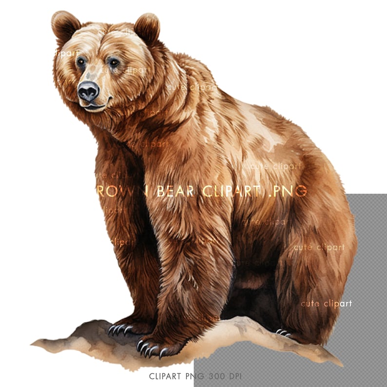 Brown Bear Clipart. - Etsy