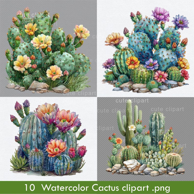 Watercolor Cactus Clipart, Cacti Graphics in PNG Format, Digital ...