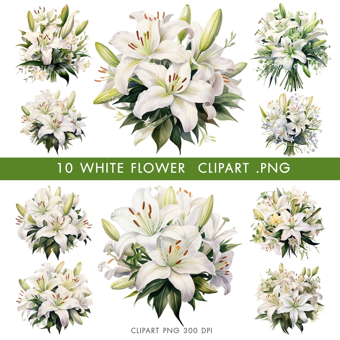 White Flower Bouquet Clip Art. - Etsy