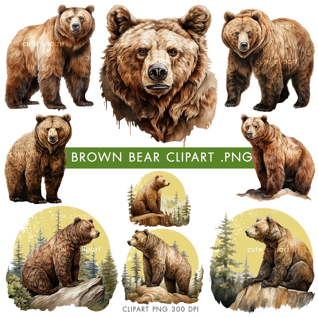 Brown Bear Clipart. - Etsy