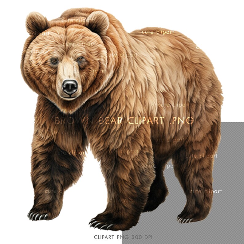 Brown Bear Clipart. - Etsy