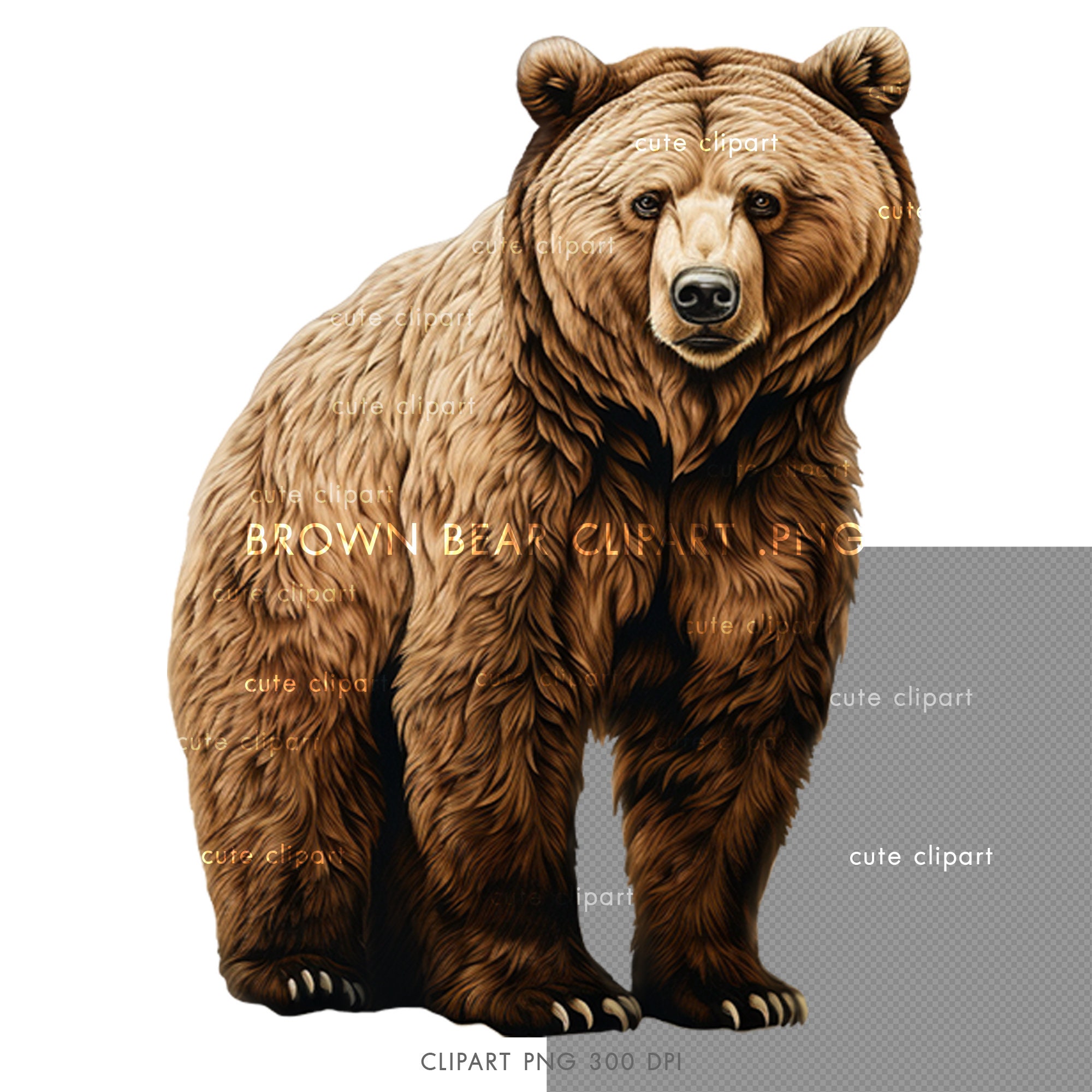 Brown Bear Clipart. - Etsy