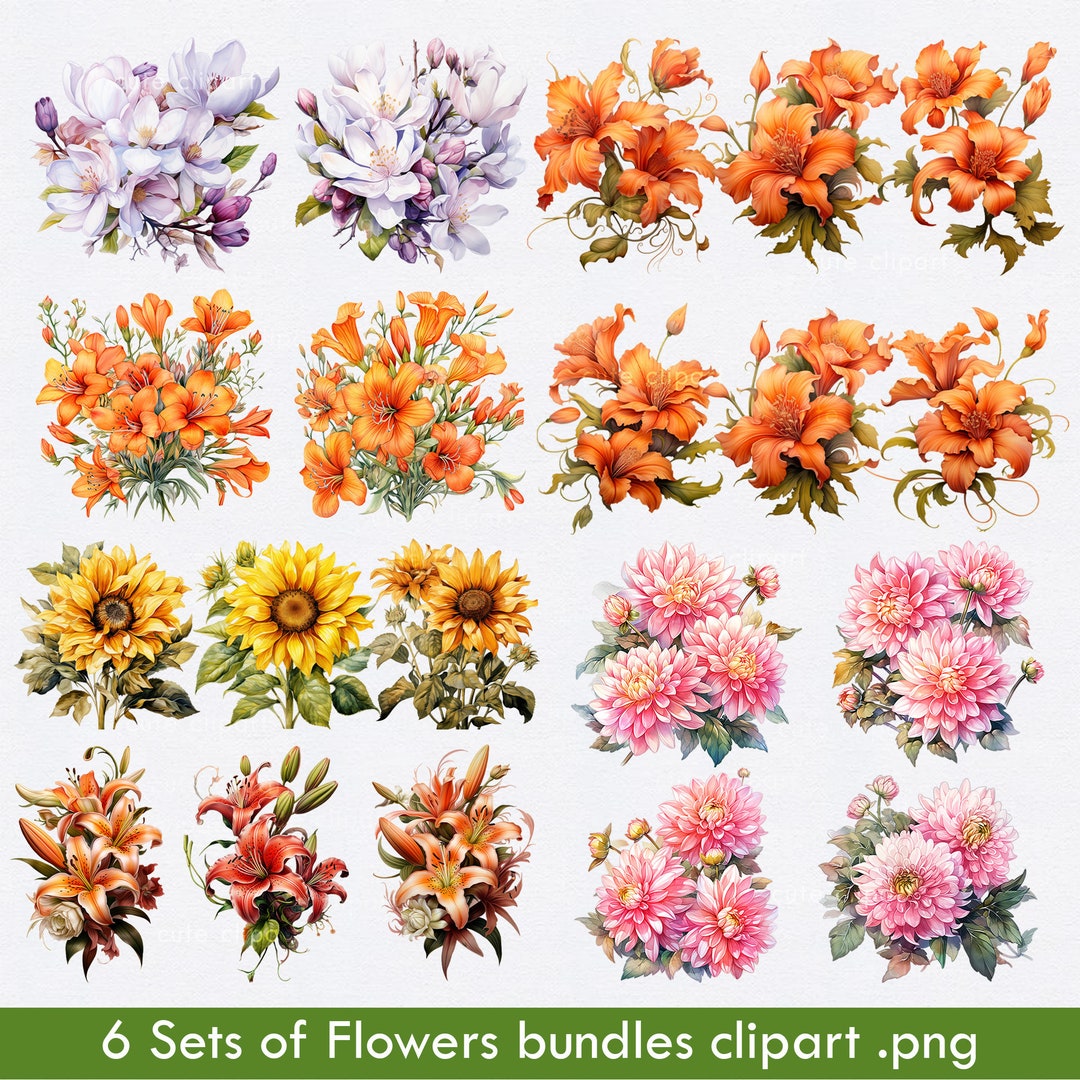Flowers Clip Art Bundle - 20 PNG Beautiful Floral Graphics, Flower ...