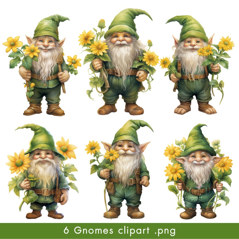 6 St. Patrick and Sunflower Gnome Clip Art, Spring Clipart, Watercolour ...