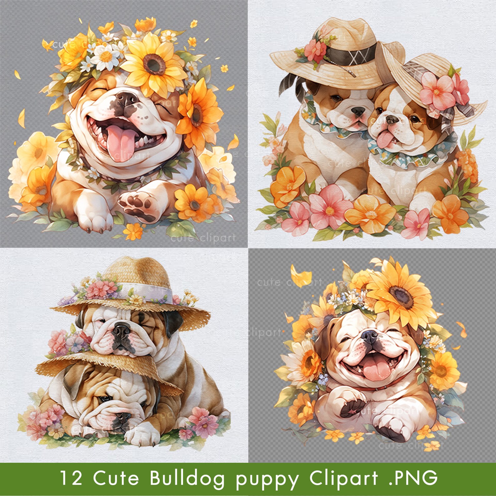 Bulldog Clipart | English Bulldog PNG | Bulldog Puppy PNG | Cute Dog ...