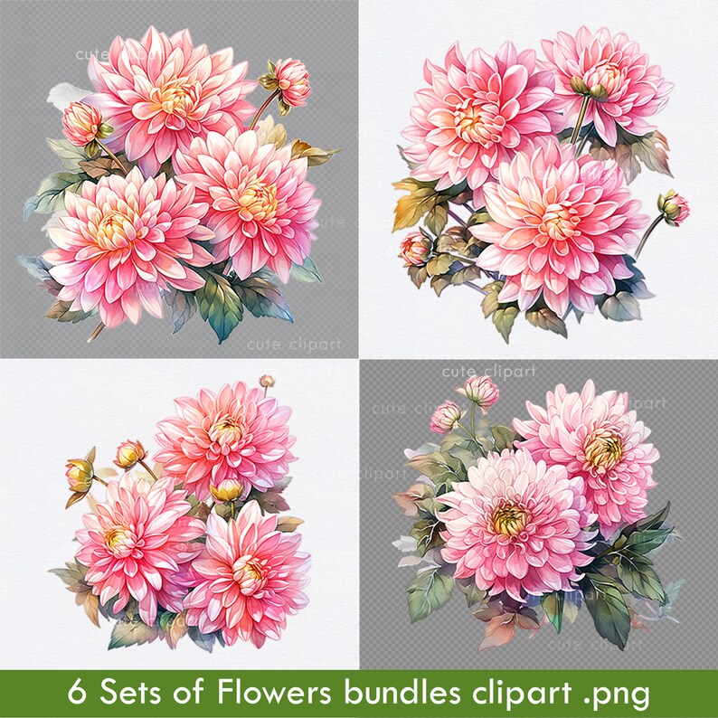Flowers Clip Art Bundle - 20 PNG Beautiful Floral Graphics, Flower ...