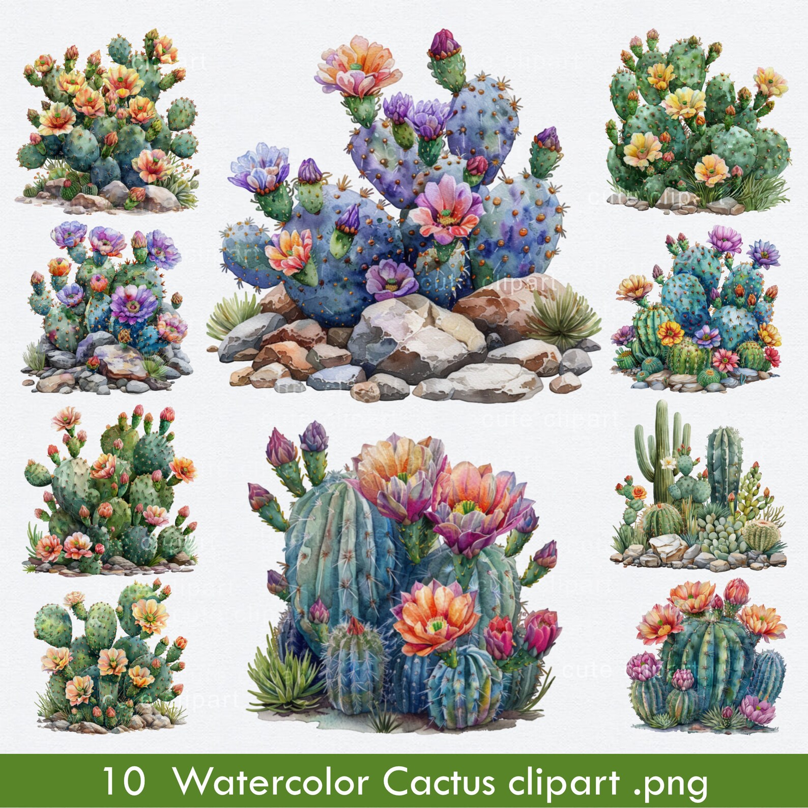 Watercolor Cactus Clipart, Cacti Graphics in PNG Format, Digital ...