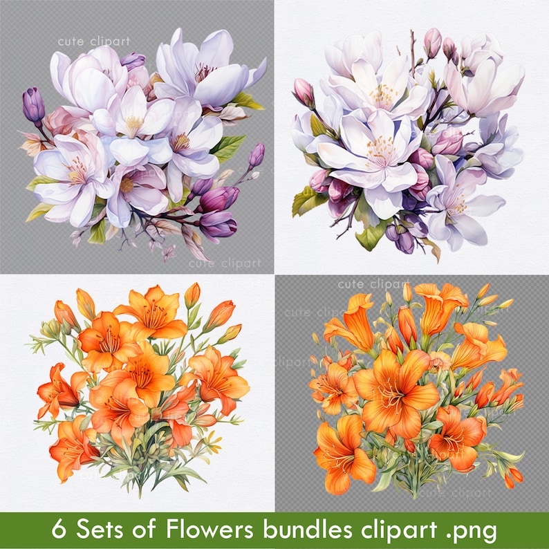 Flowers Clip Art Bundle - 20 PNG Beautiful Floral Graphics, Flower ...