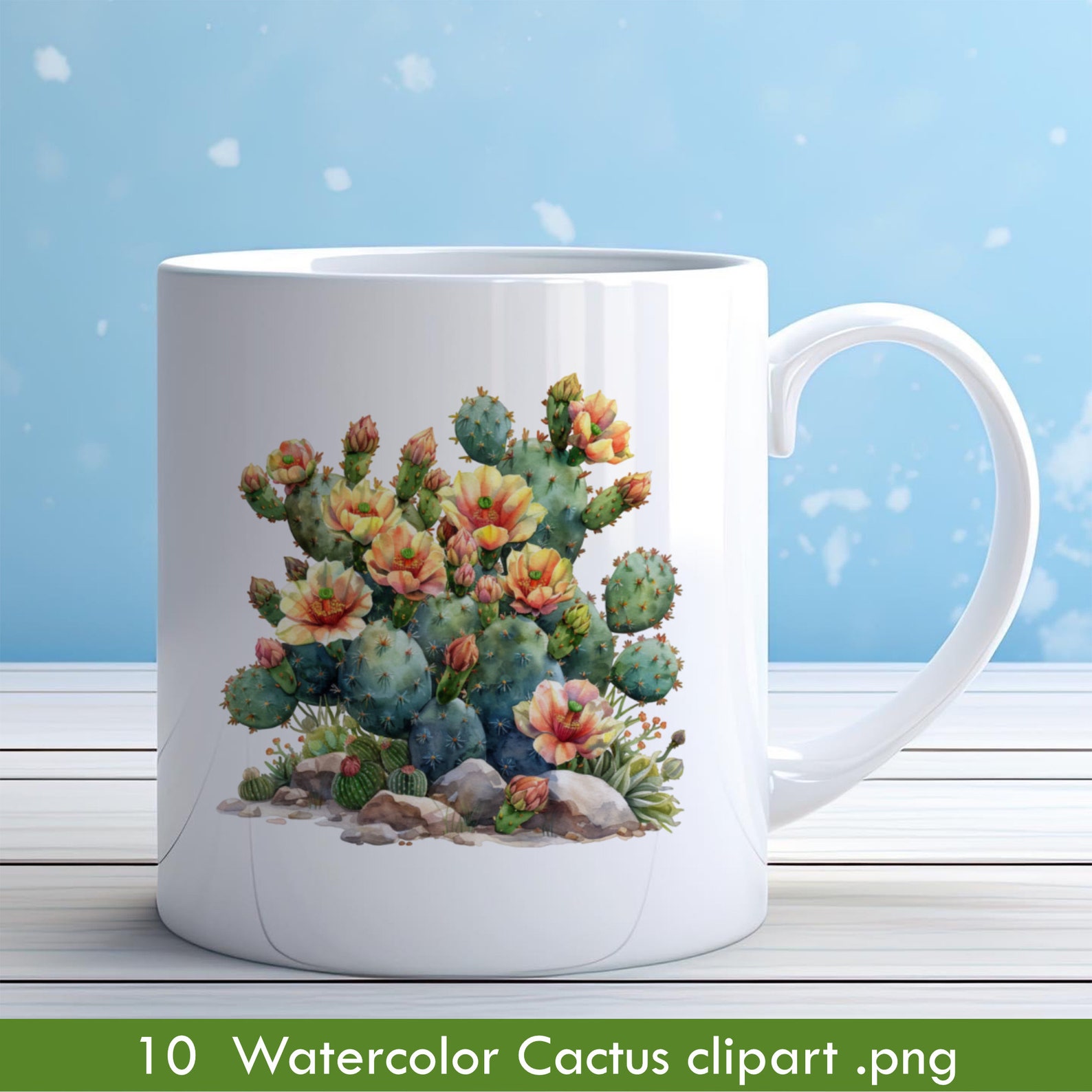 Watercolor Cactus Clipart, Cacti Graphics in PNG Format, Digital ...