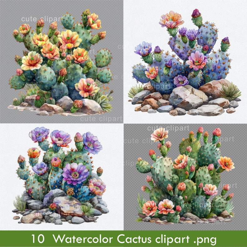 Watercolor Cactus Clipart, Cacti Graphics in PNG Format, Digital ...