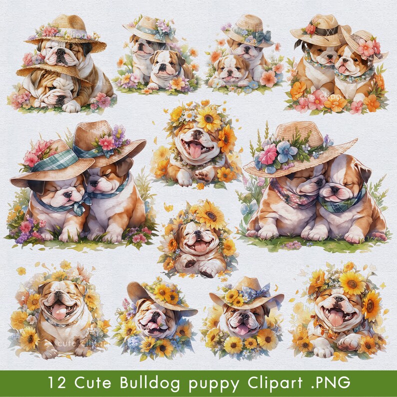 Bulldog Clipart | English Bulldog PNG | Bulldog Puppy PNG | Cute Dog ...
