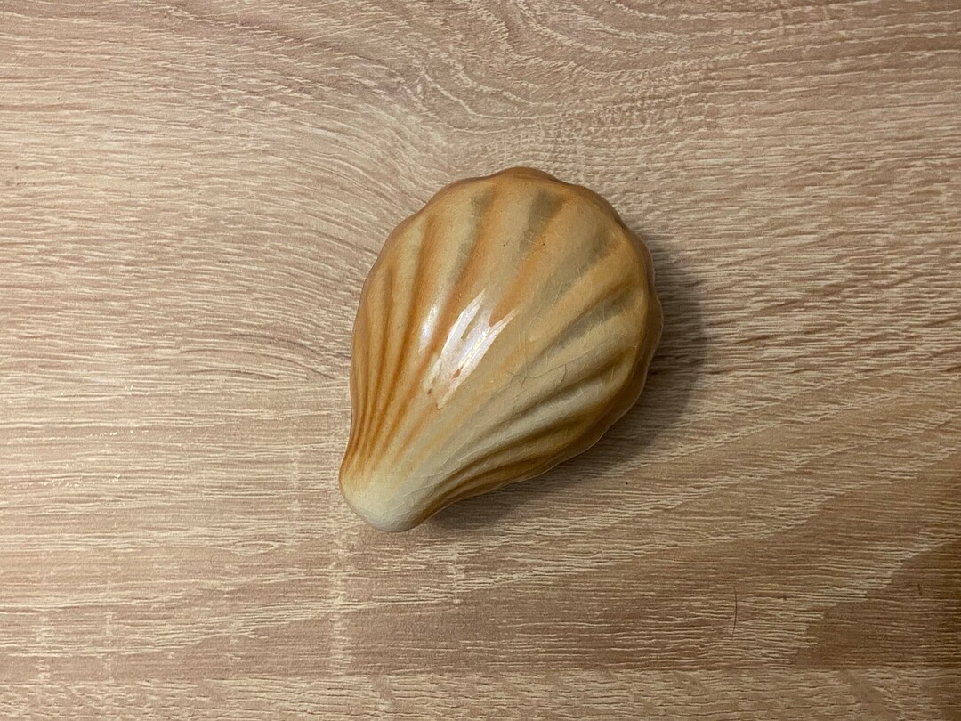 Vintage 60s Little Shell Box - Etsy