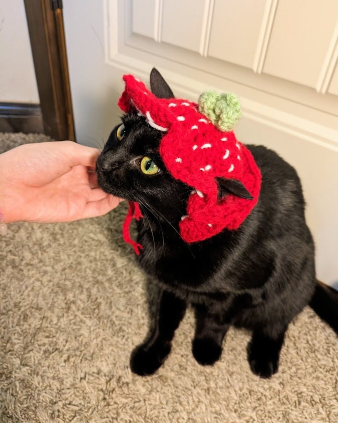 Crochet Strawberry Cat Hat Handmade - Etsy
