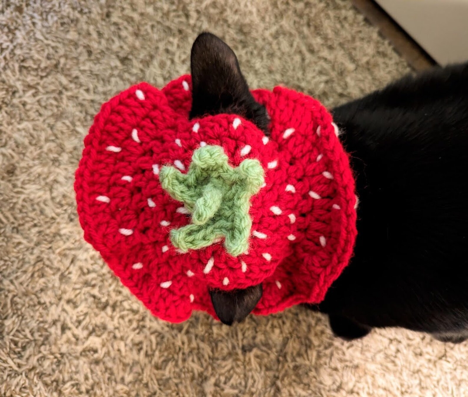 Crochet Strawberry Cat Hat Handmade - Etsy