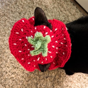 Crochet Strawberry Cat Hat Handmade - Etsy