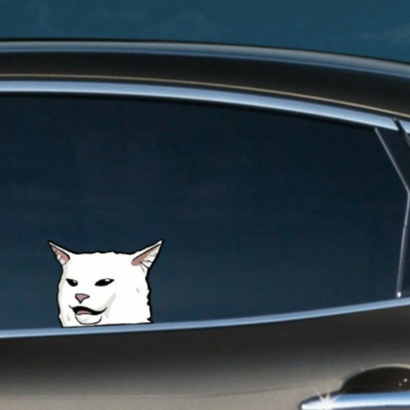 Car Window Decals Funny - Etsy