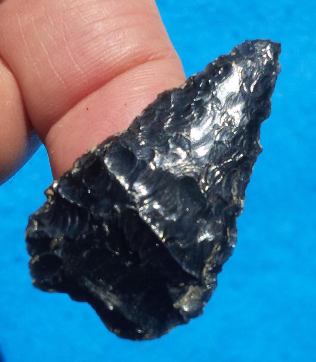AUTHENTIC OREGON ARROWHEAD 1-9/16" Humboldt Triple T Variant Mid ...