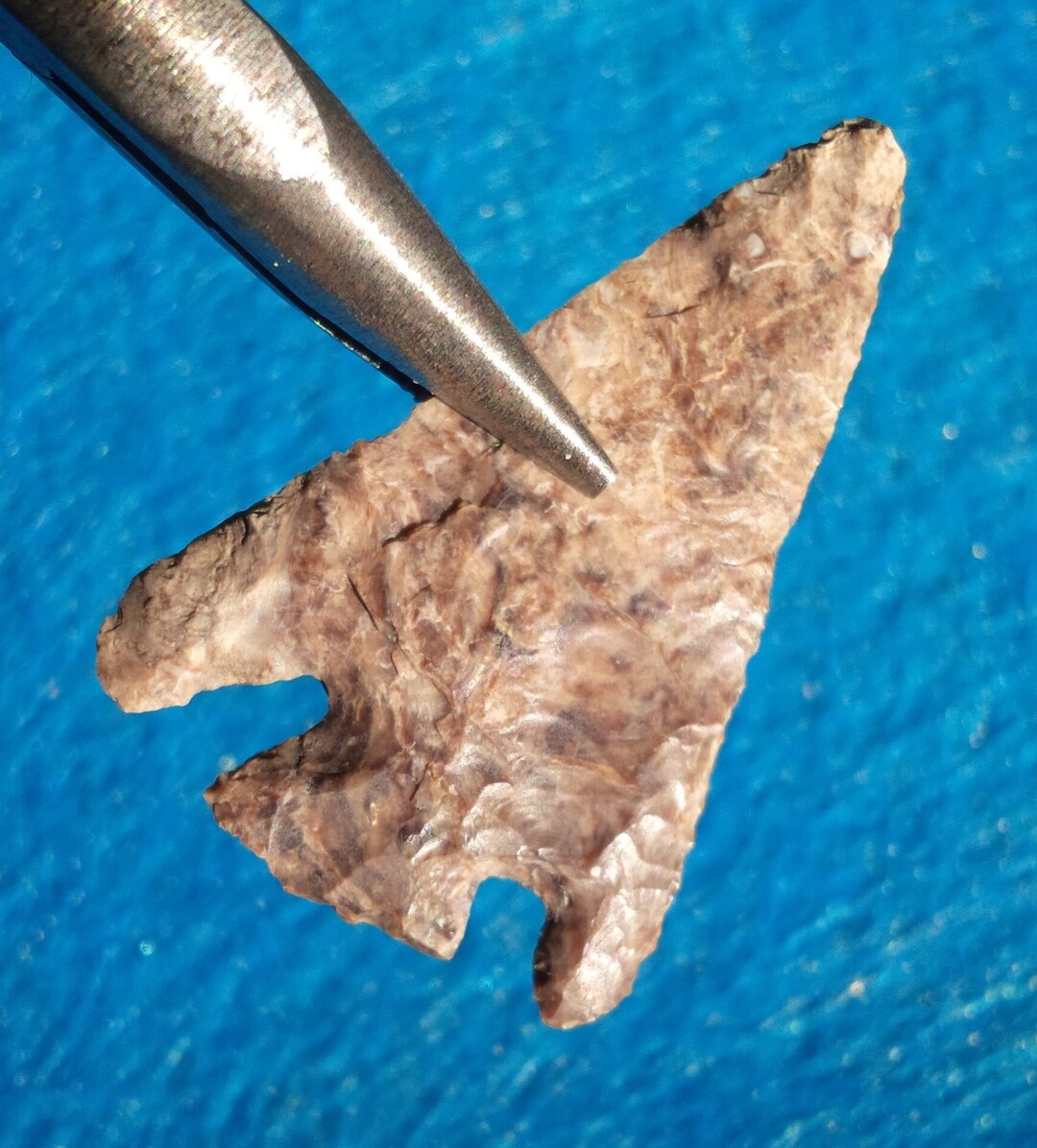 1-3/4 Eastgate AUTHENTIC OREGON ARROWHEAD Developmental Classic Phase ...