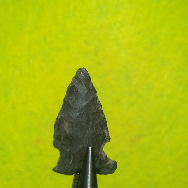 1-1/4" Paleo Hardaway Side Notched AUTHENTIC PENNSYLVANIA ARROWHEAD Transitional Paleo 10,500 ...