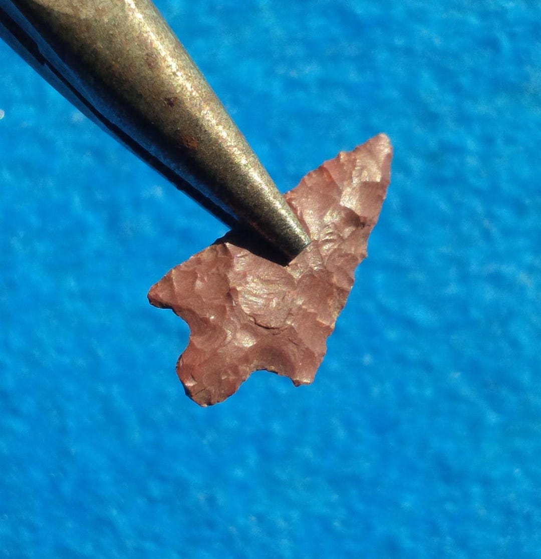 AUTHENTIC WASHINGTON ARROWHEAD 7/8" Rose Springs Stemmed, Developmental ...