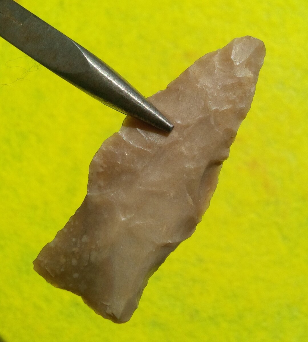 2-3/8" Darl AUTHENTIC TEXAS ARROWHEAD Woodland 2500 - 1000 B.P. Beveled ...