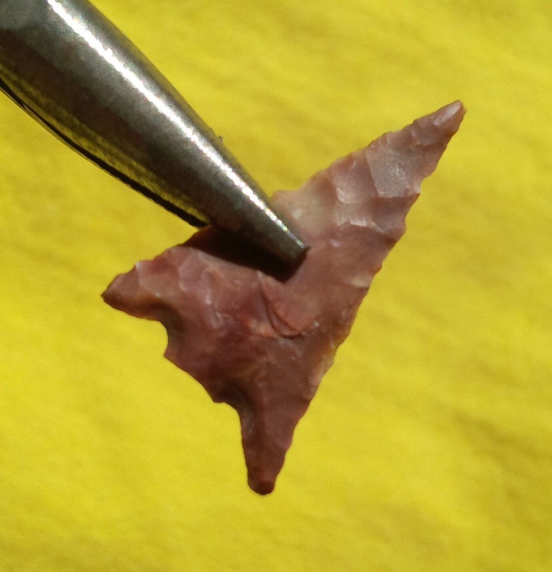 15/16" GUNTHER BARBED Washington ARROWHEAD Authentic Arrowhead ...