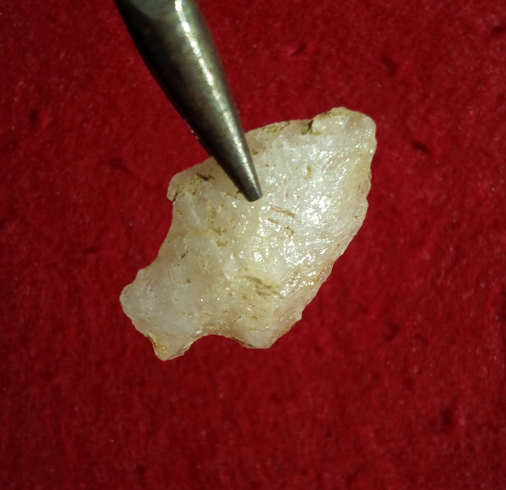 8 AUTHENTIC OHIO ARROWHEADS 7 Quartz Arrowheads & 1 White Flint Bird ...