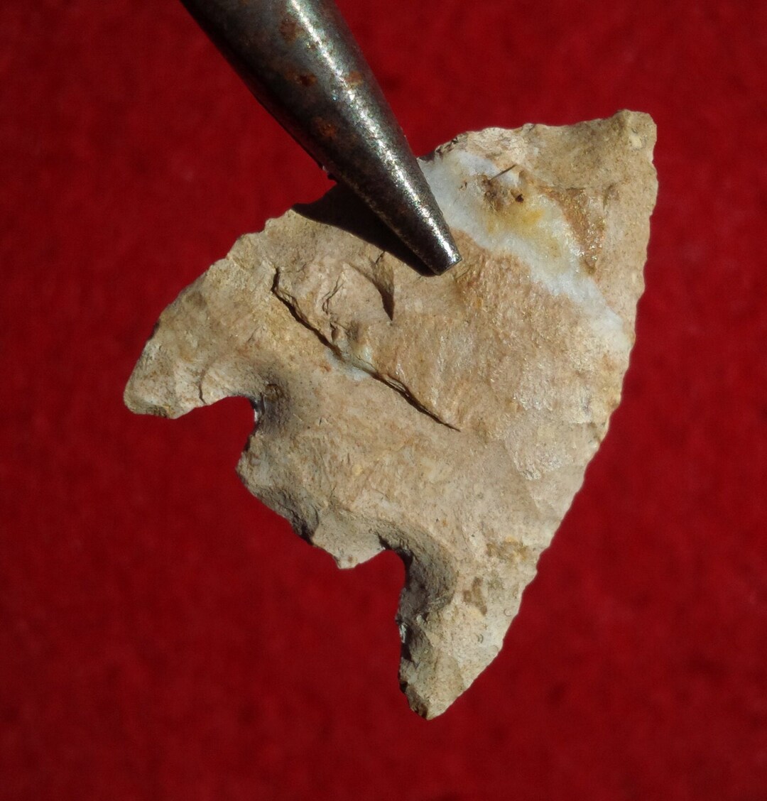 AUTHENTIC TEXAS ARROWHEAD 1-1/4" Shumla Late Archaic 3000 - 2200 B.P ...