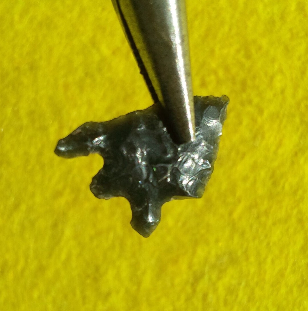 Sauvies Island Shoulder Notched AUTHENTIC OREGON ARROWHEAD Transitional ...