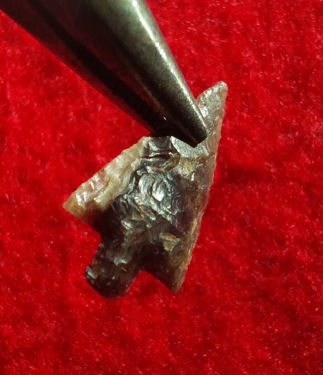 15/16" Wallula AUTHENTIC OREGON ARROWHEAD Dev - Historic Phase 1000 ...