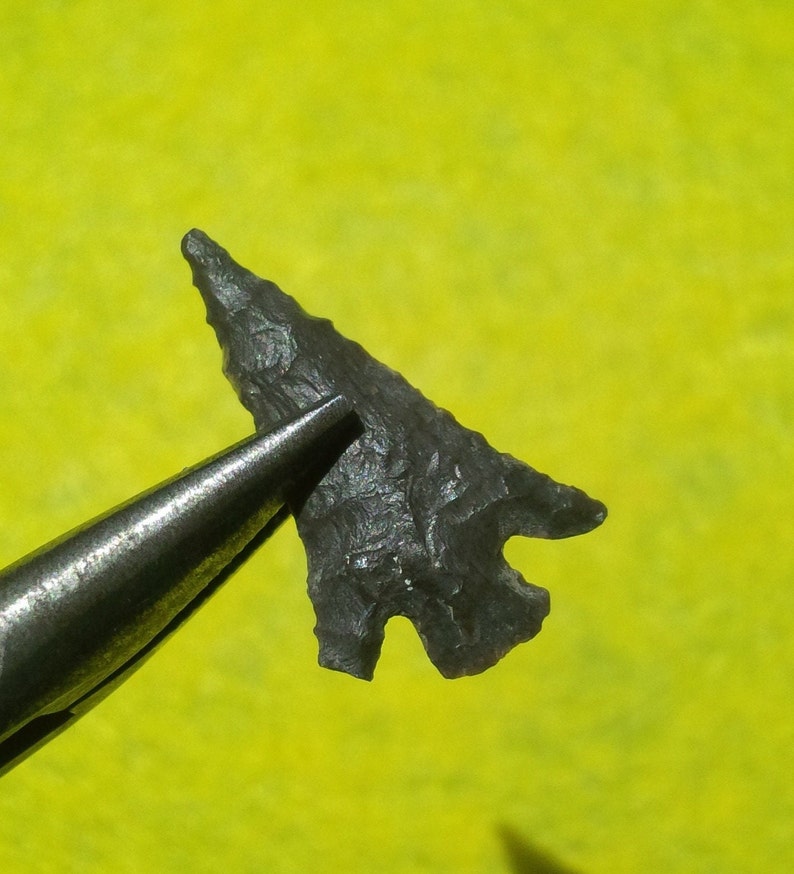 1" Columbia Plateau AUTHENTIC WASHINGTON ARROWHEAD Classic to Historic ...